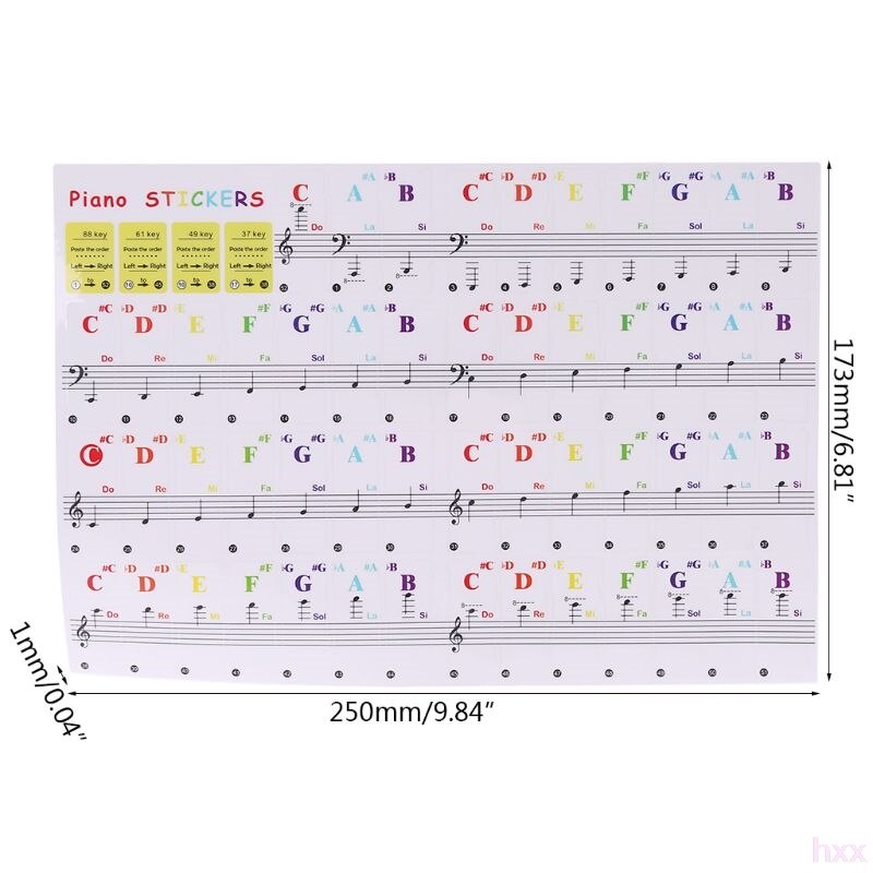 Piano Keyboard Stickers Music Note Colorful For 37... – Grandado