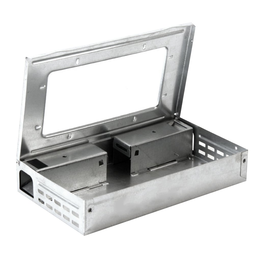 Continue Efficiënte Muizenval Met Venster Live Mui... – Grandado