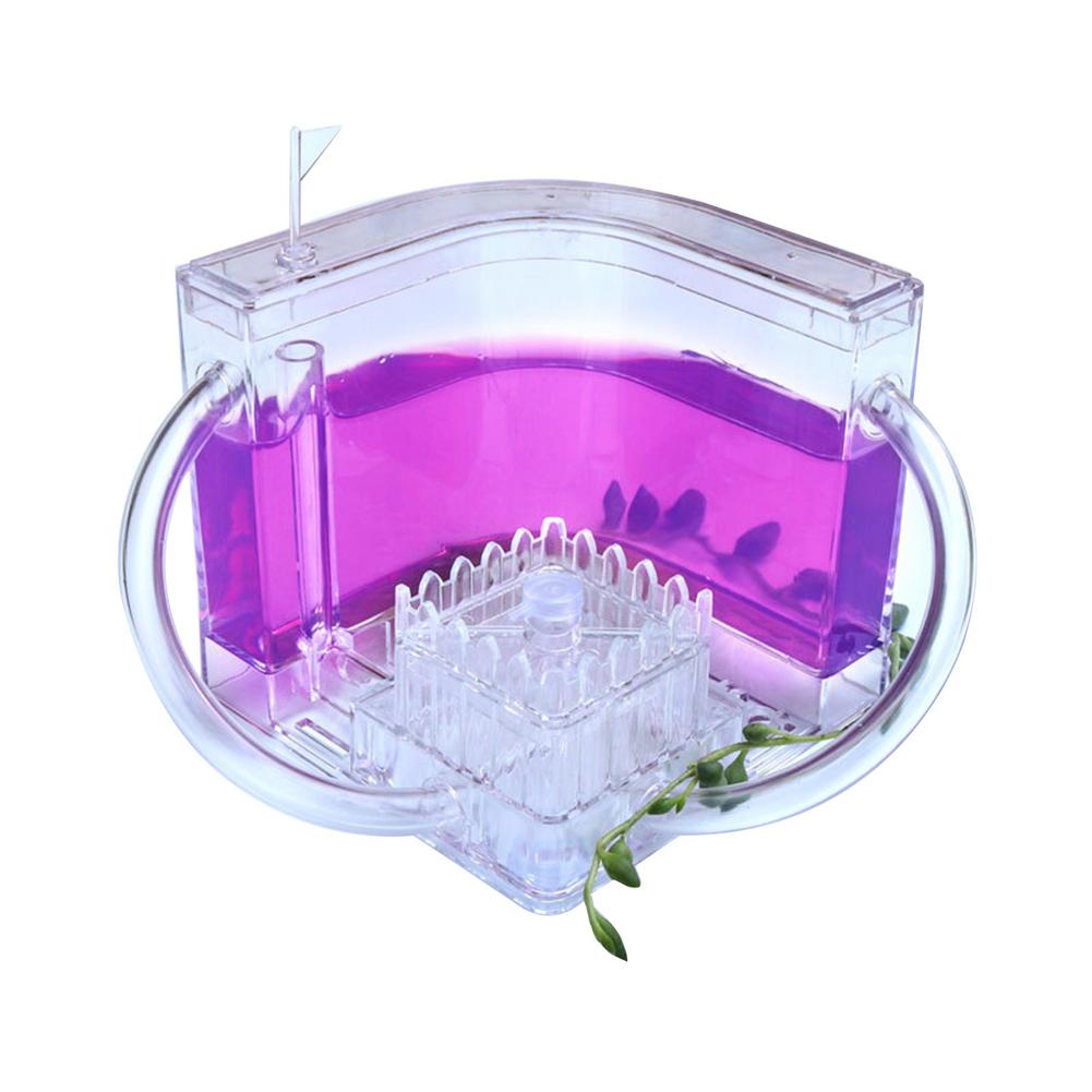 Ant Nest Ant Farm Ants House Ant Farm Acryl Pet To... – Grandado