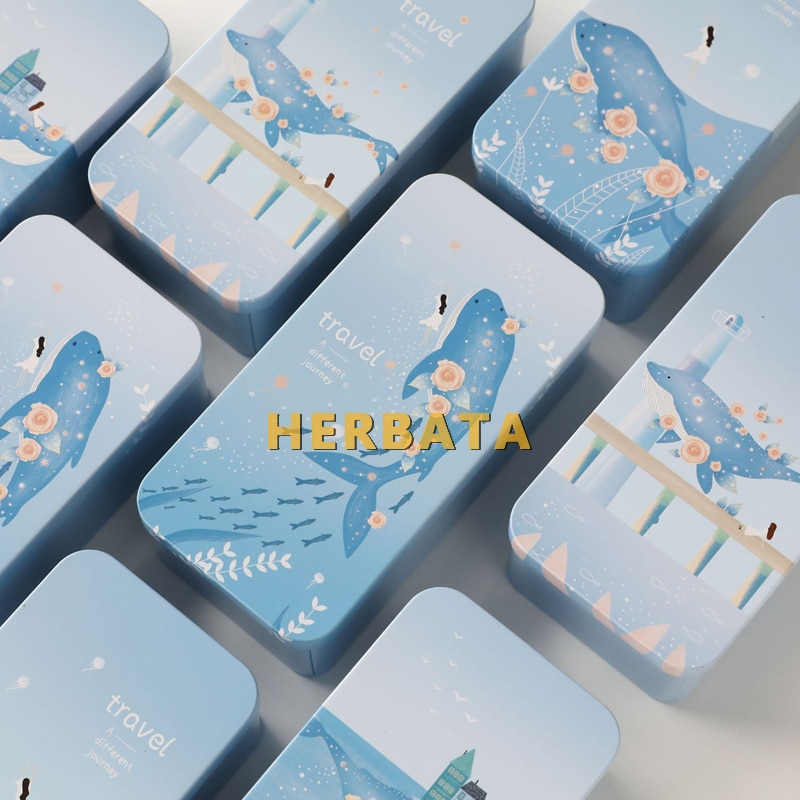 Student double deck storage box tin metal statione... – Vicedeal