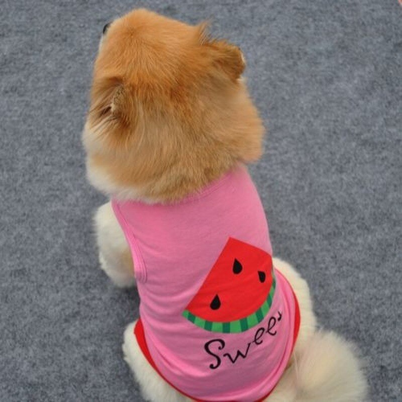 Watermeloen Cartoon Hond Kleding Lente Zomer Ademe... – Grandado