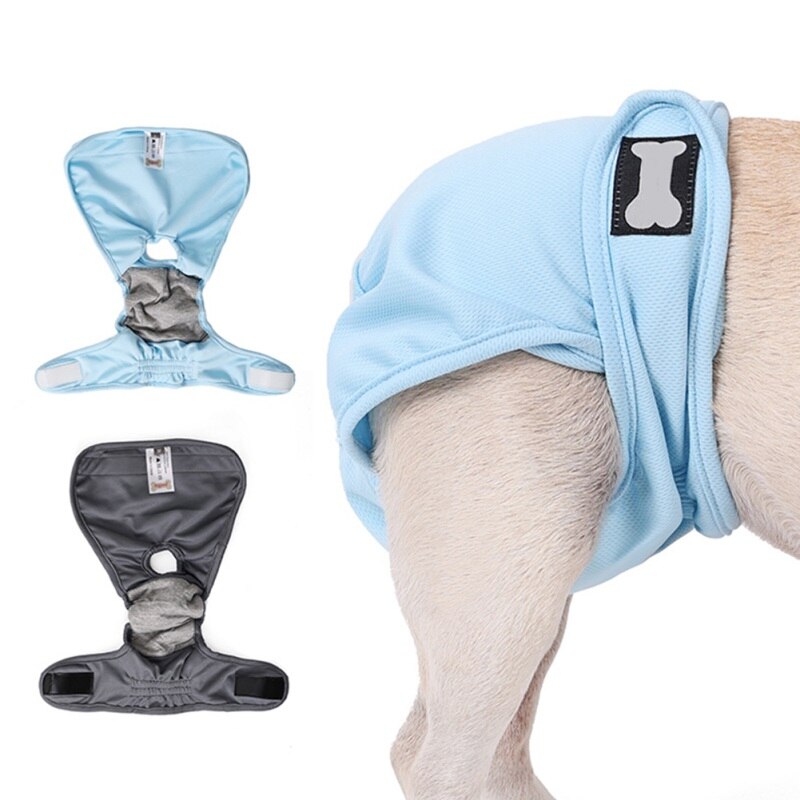 Hond Luier Shorts Voor Kleine Grote Hond Vrouwelij... – Grandado