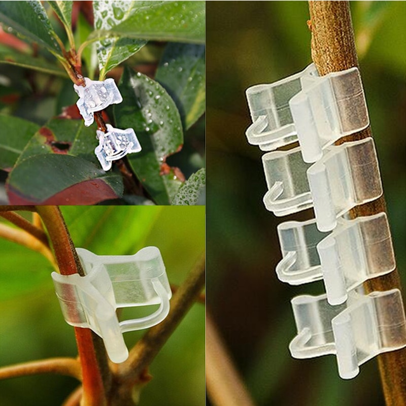 Clips de plástico para soporte de plantas, Clip fi... – Grandado