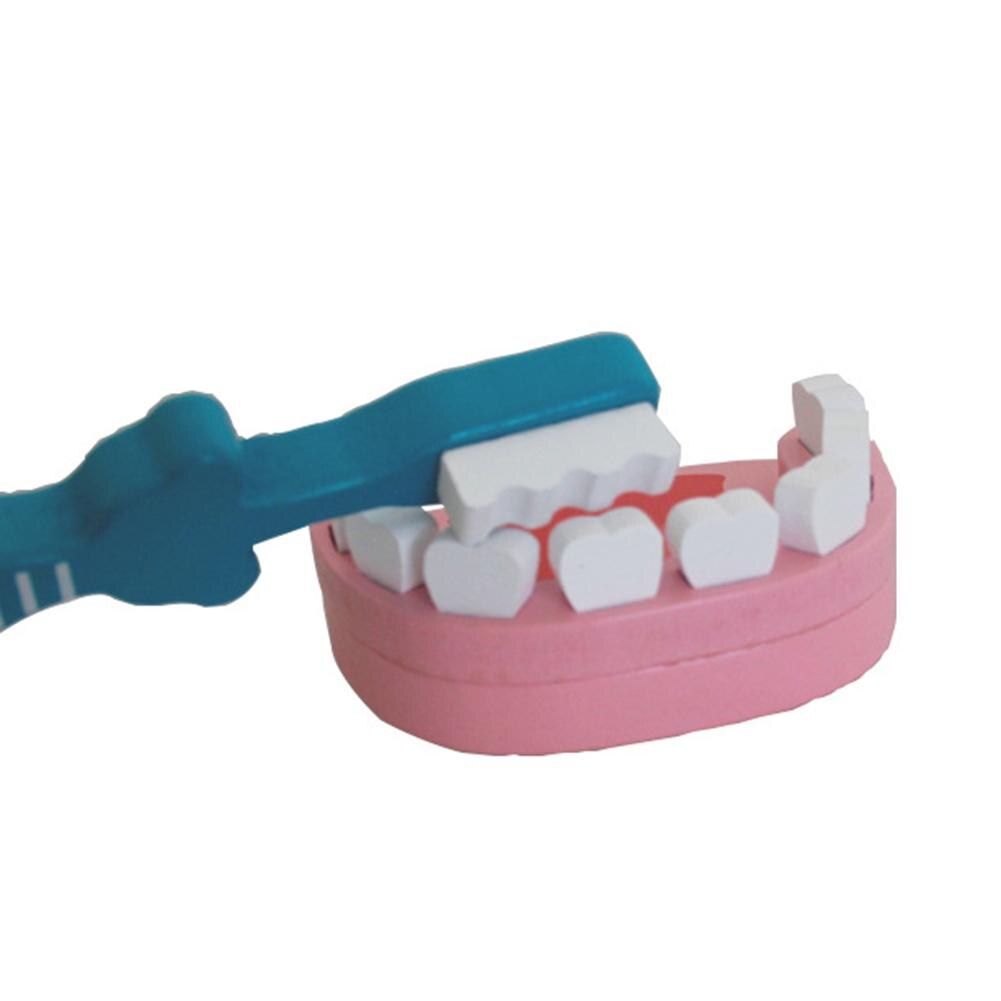 Wooden Role Play Dentist Doctor Dental Teeth Model... – Grandado