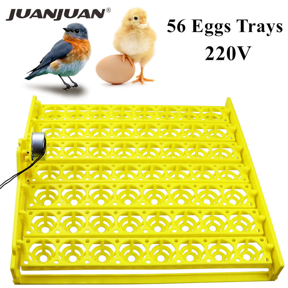 Egg Incubator Automatic Turning Tray 56 154 Bird E... – Grandado