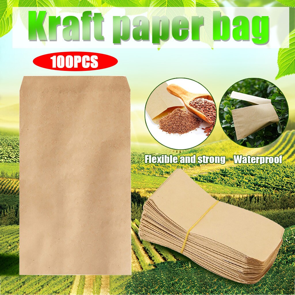 100pcs Vintage Kraft Paper Seed Envelopes Mini Pac... – Grandado