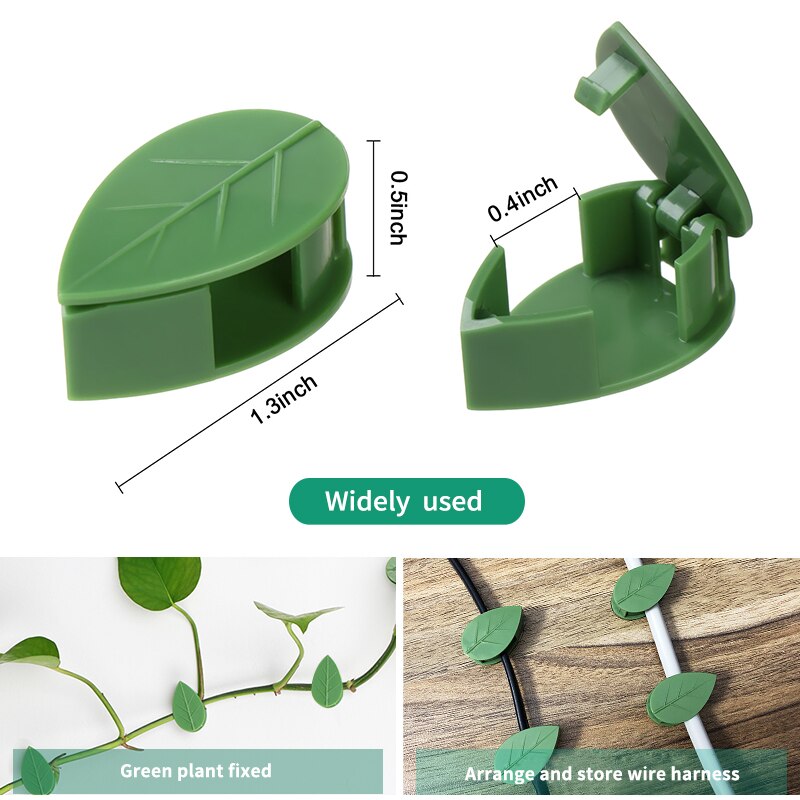 Invisible Plant Climbing Wall Fixture Rattan Vine ... – Grandado
