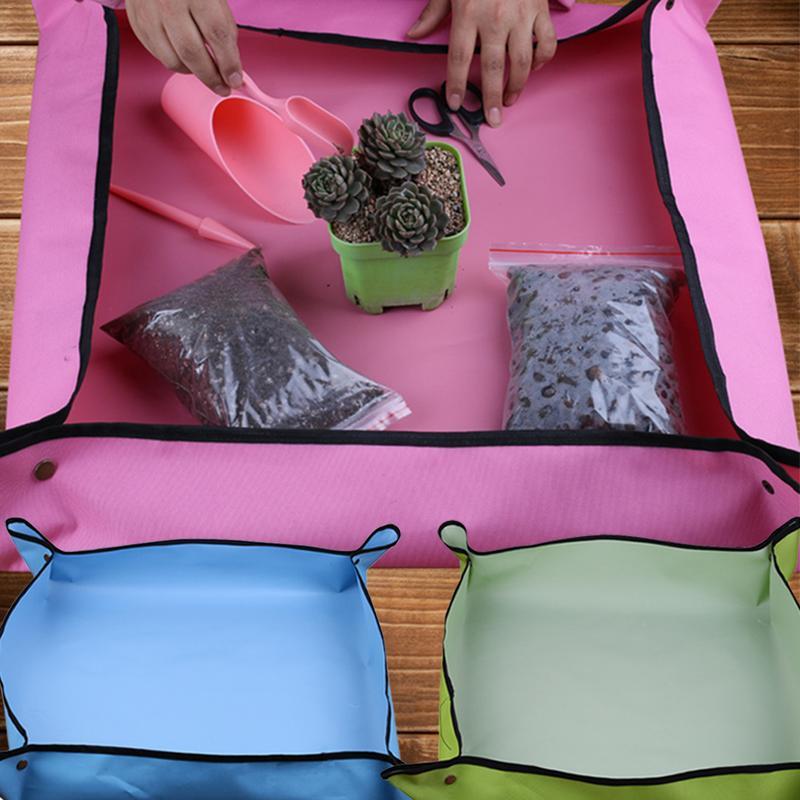 3 Colors Gardening Mat Succulents Flowers Change S... – Vicedeal