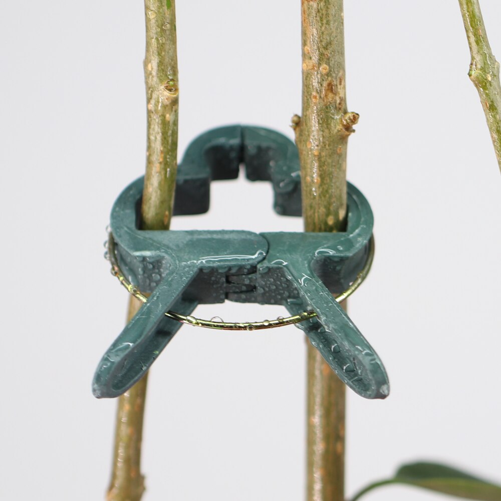 Reusable Green Adjusting Plant Fixed Clip for Fixi... – Grandado