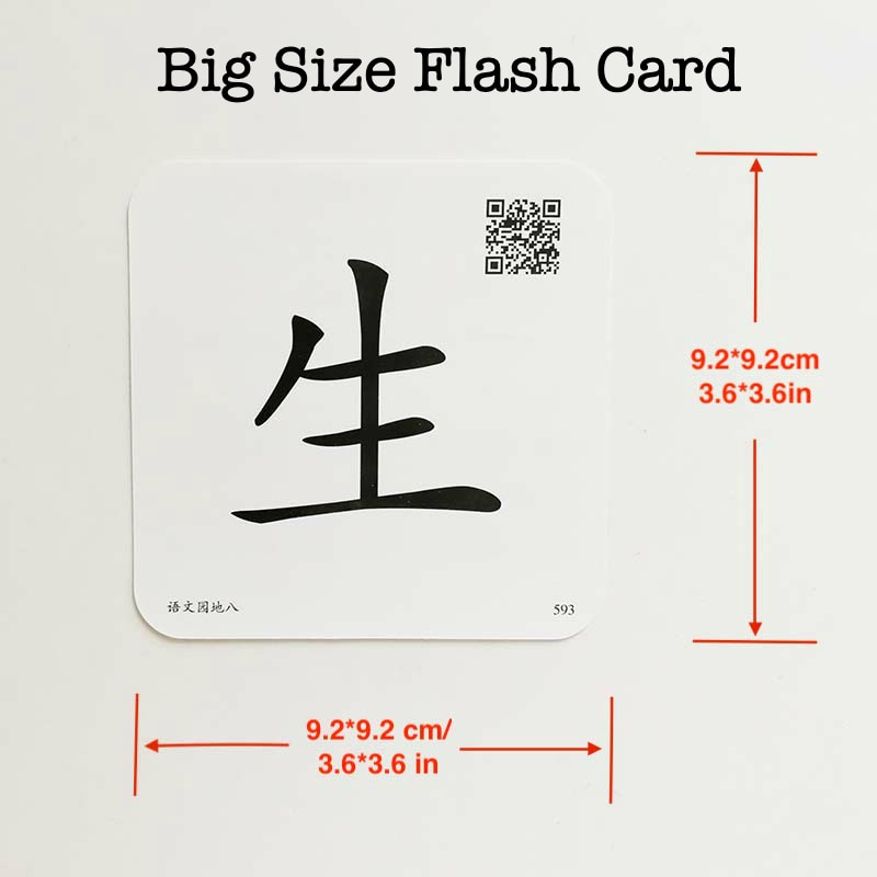 297Basic Chinese Characters/Box Big Flash Cards 1A... – Vicedeal
