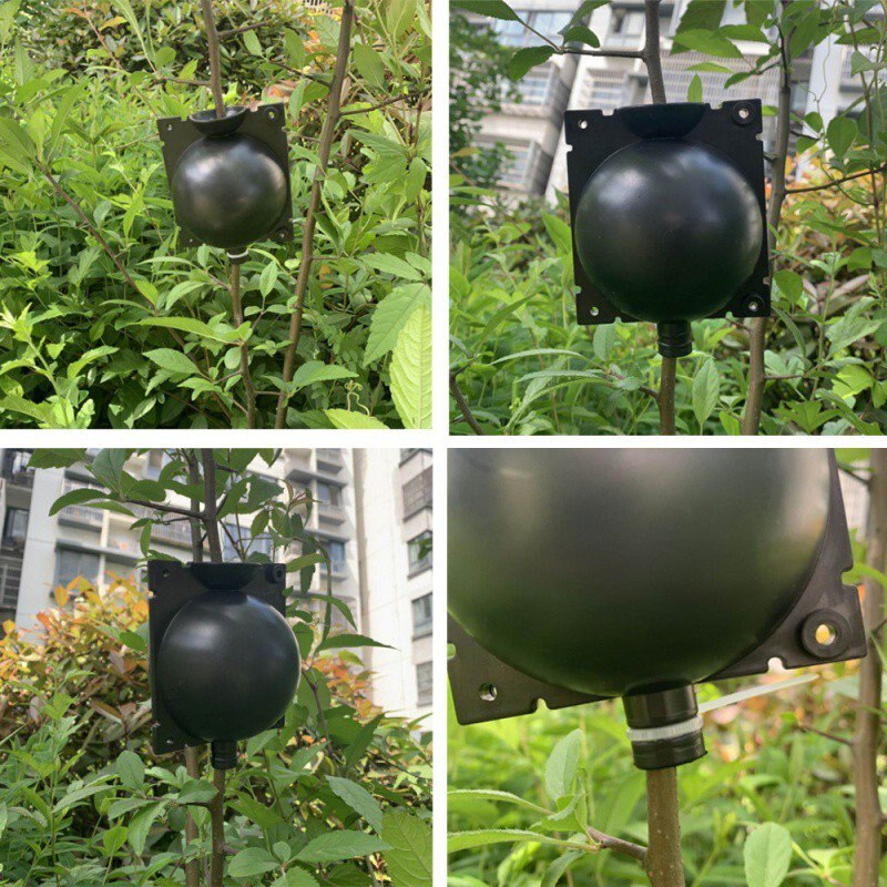 Plant Rooting Ball Grafting Rooting Growing Box Br... – Vicedeal