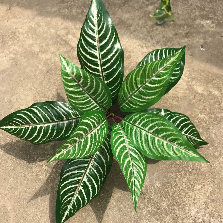 10 blade af zebra blade plante bonsai kunstigt pla... – Vicedeal