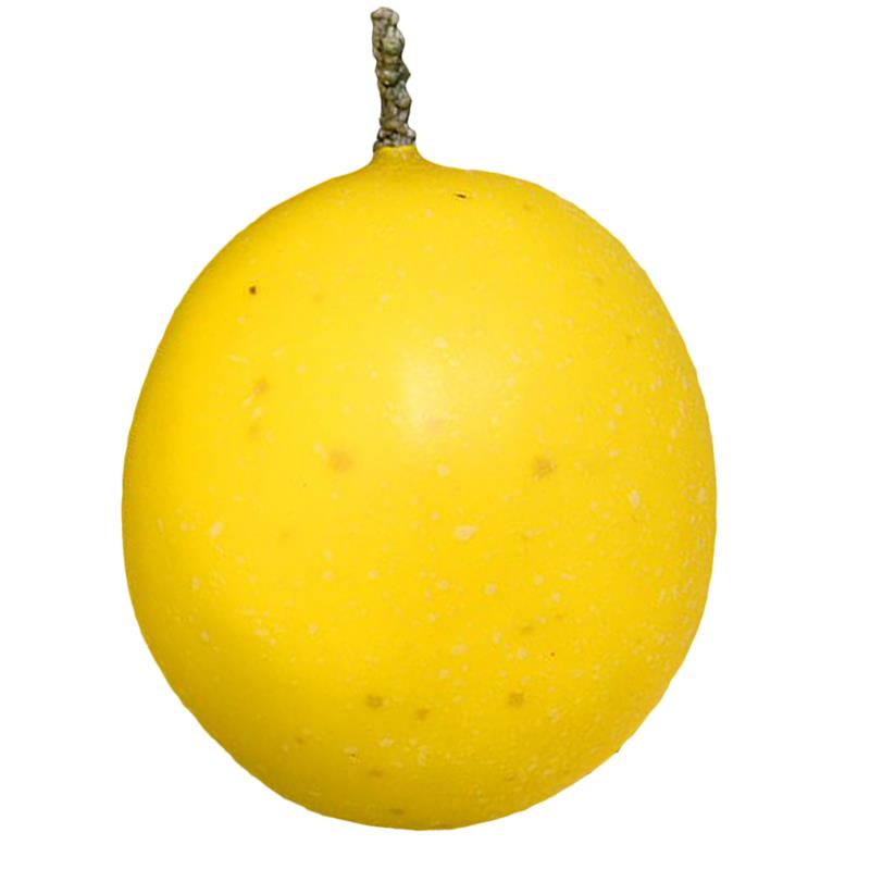 Artificial Fruit Decor Lifelike Passion Fruit Gold... – Grandado