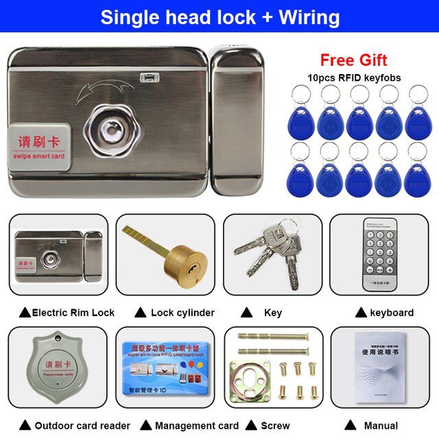 Home Smart Electric Gate Lock 12V with Double Cyli... – Grandado