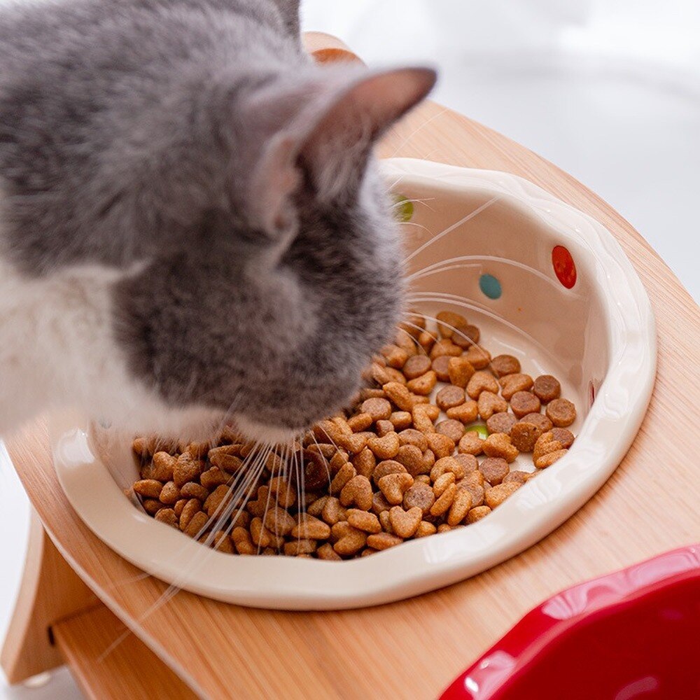 Cute Pets Double Bowl Dog Cat Food Water Feeder St... – Grandado