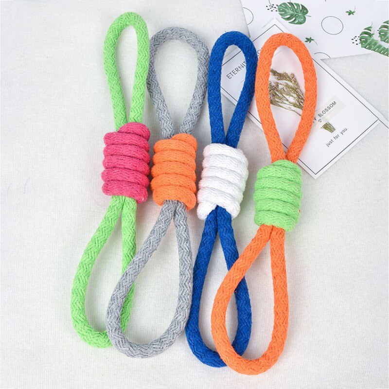 NewDog Toys Colorful Smart Cute Dog Rope Toys Brai... – Grandado