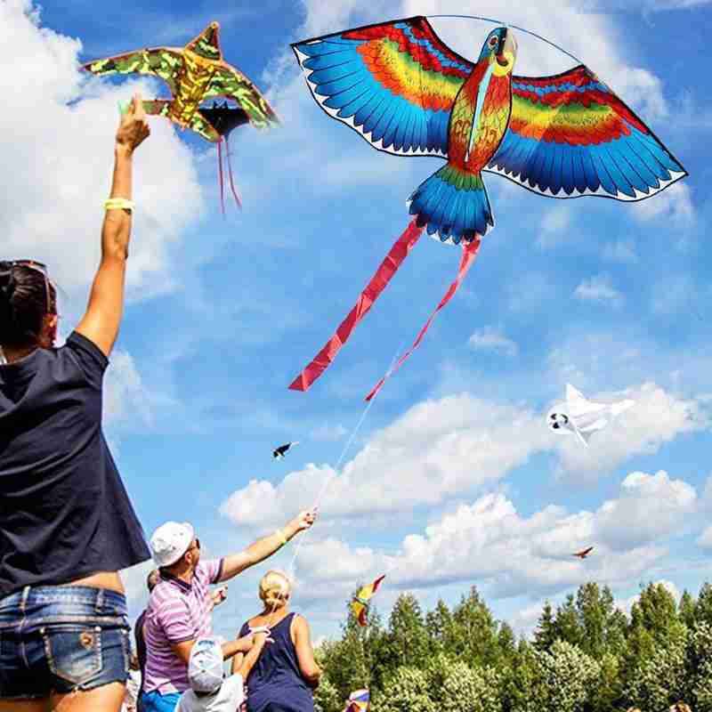 Papegøye drage fugl drager utendørs drager flyvend... – Vicedeal
