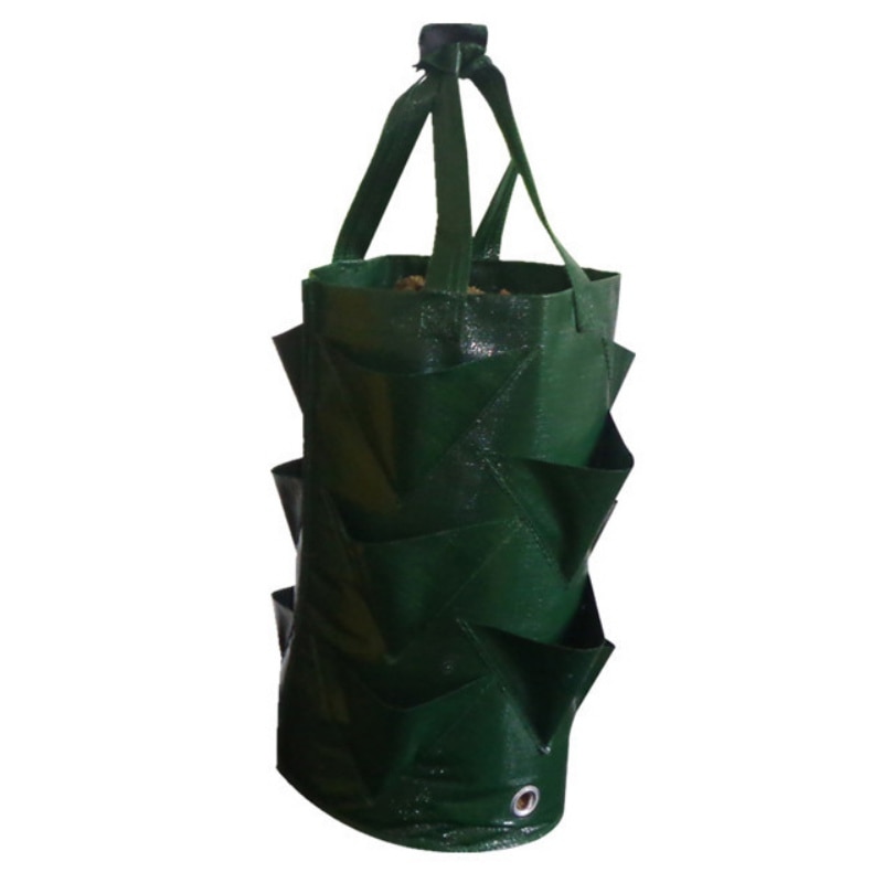 Strawberry Planting Growing Bag 3 Gallons Multi-mo... – Vicedeal