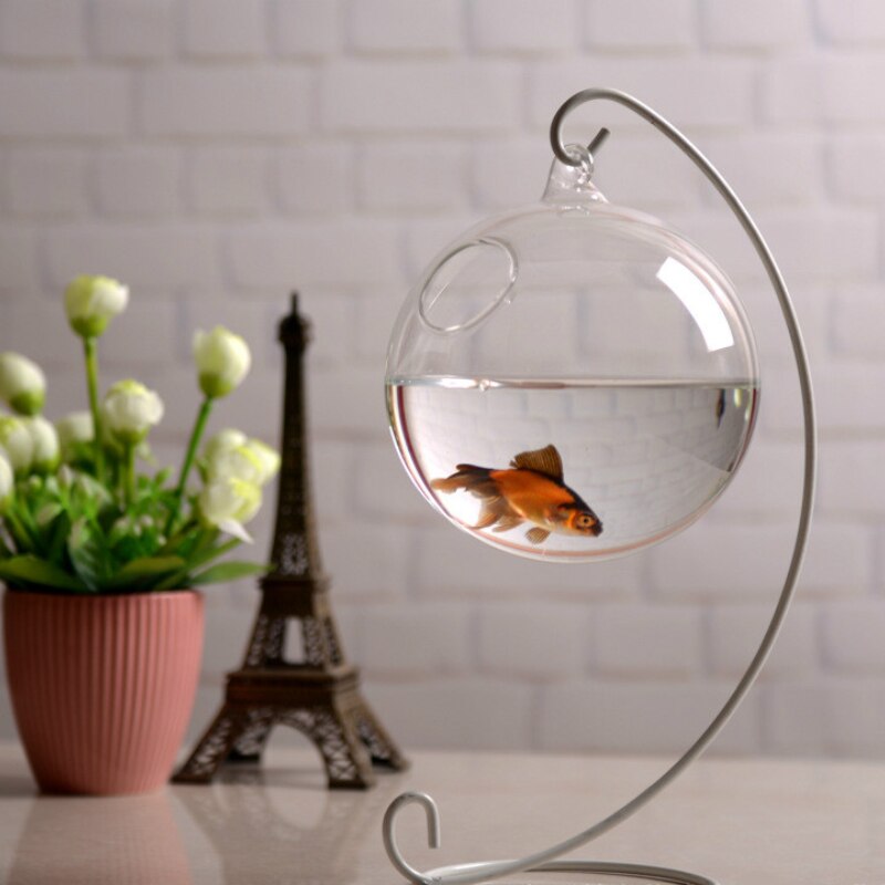 DIY Glass Round Ball Vase Micro Landscape Hydropon... – Grandado