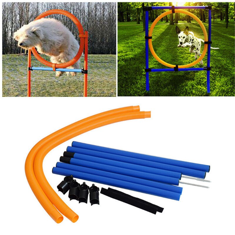 Dog Sports Equipment Training Toys Dogs High Jump ... – Grandado