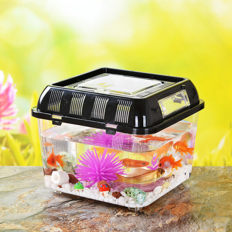 Portable Plastic Large And Medium Aquarium Fish Ta... – Grandado