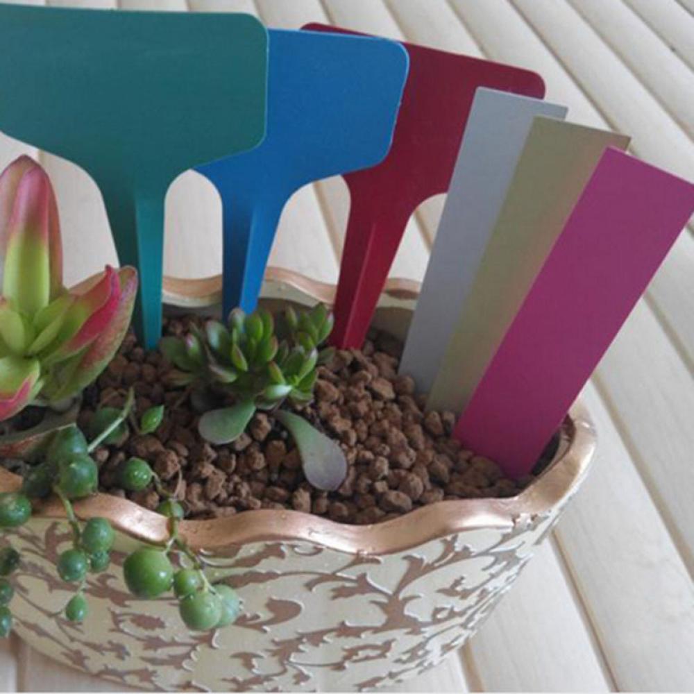 10pcs Yard Lawn Ornament Flower Plastic Court Plan... – Grandado