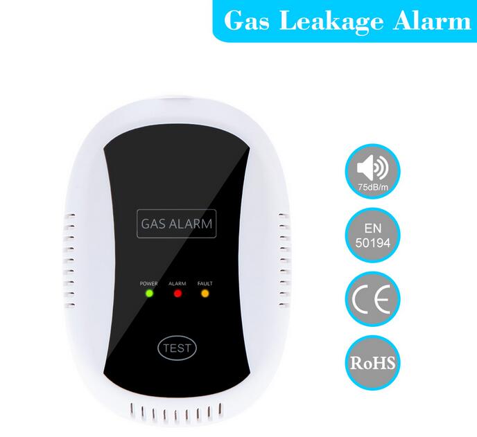 433mhz Wireless Gas Leakage Detector LPG CO Detect... – Grandado