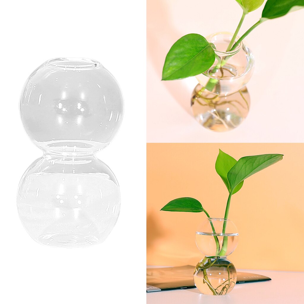 All Glass Terrarium Glass Flower Vase Hydroponic P... – Vicedeal