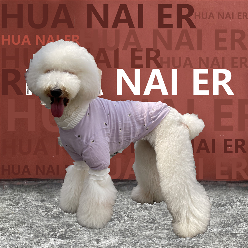 Riesen Hund Kleidung Pudel Bekleidung – Grandado
