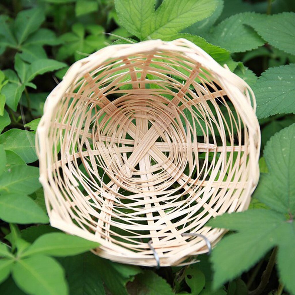 4'' Canary Nest Pan Hand-woven Bamboo Parrot Birds... – Grandado
