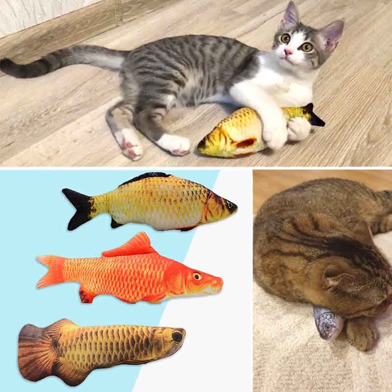 Pet Soft Plush 3D Fish Shape Cat Toy Interactive F... – Grandado
