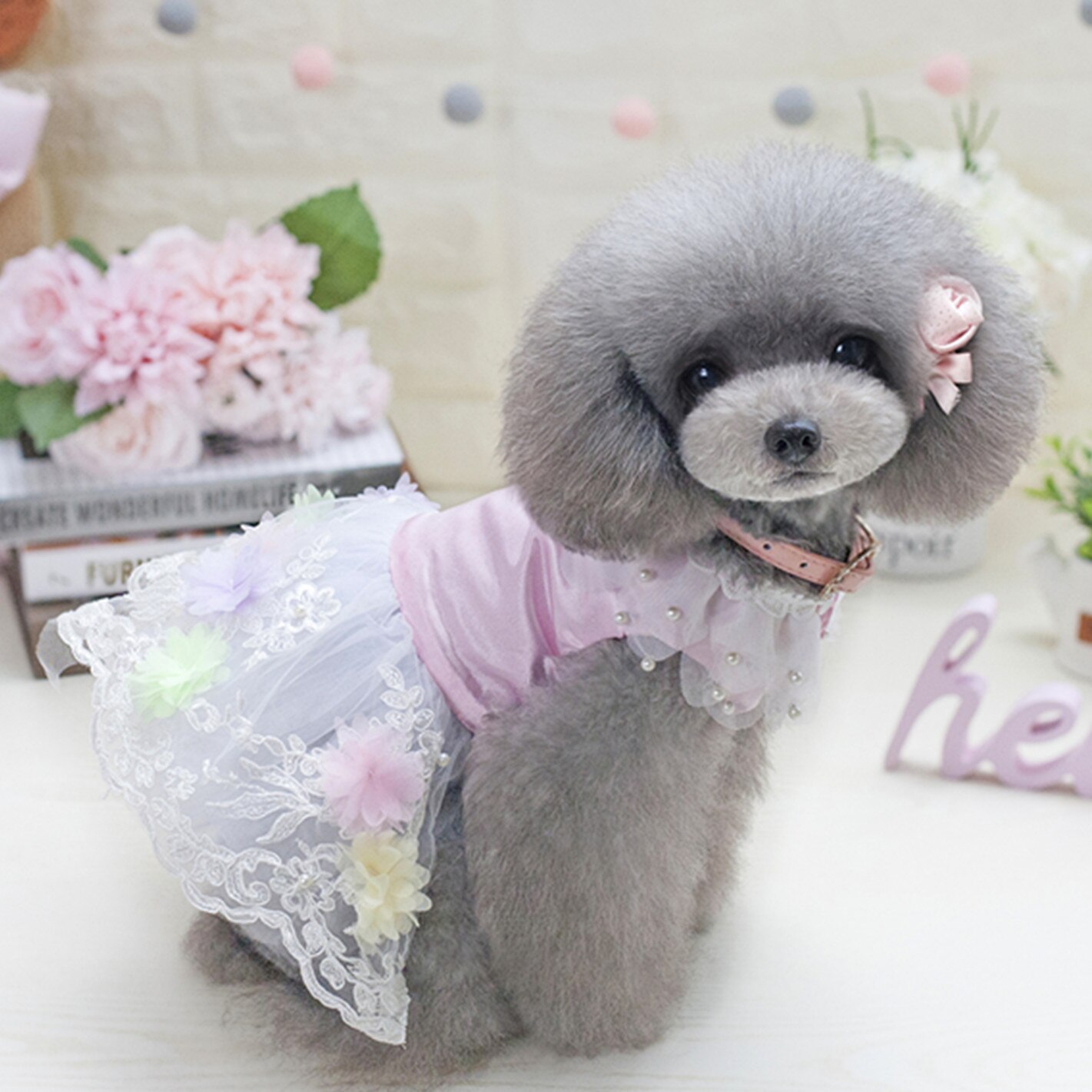 Sweet Lace Pet Clothes Cat Wedding Skirt Spring Su... – Grandado
