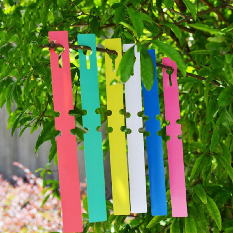 100 pcs Garden Nursery Label Hanging Tree Markers ... – Grandado
