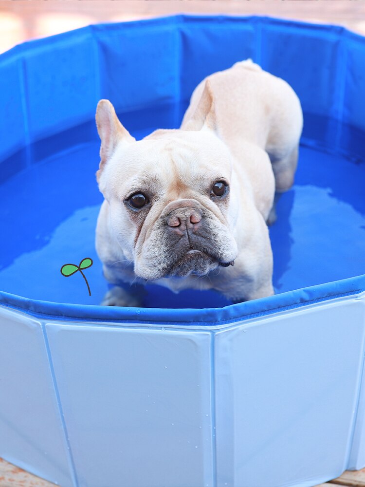 Foldable Dog Pool Pet Bath Swimming Tub Bathtub Ou... – Grandado