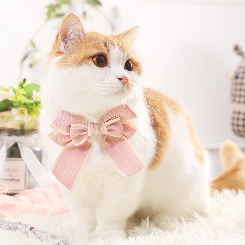 Hoopet Pet Hond Kat Ketting Verstelbare Voor Katte... – Grandado