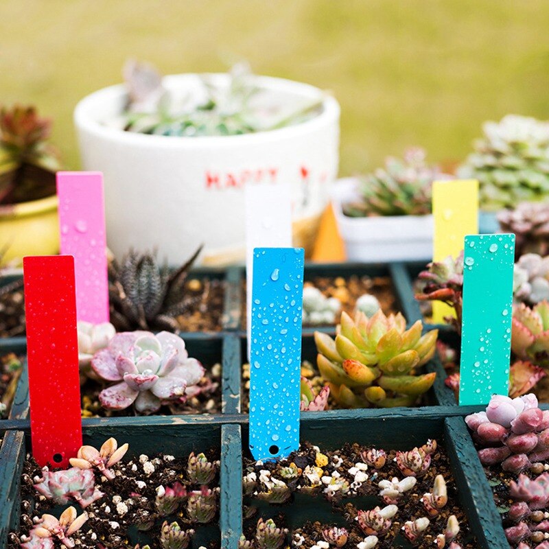 100Pcs Waterproof Plant Markers Plastic Nursery Pl... – Grandado