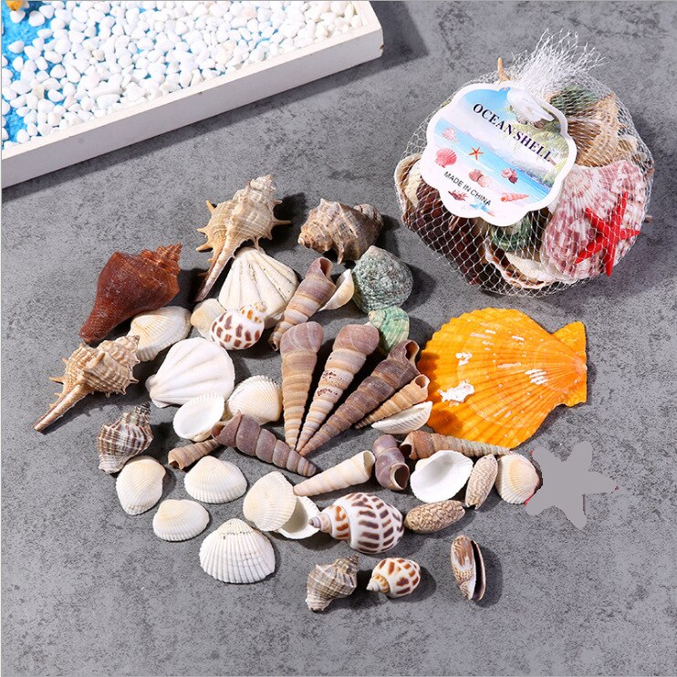 110g/150g/330g/500g Mixed Color Beach Sea Shells C... – Vicedeal