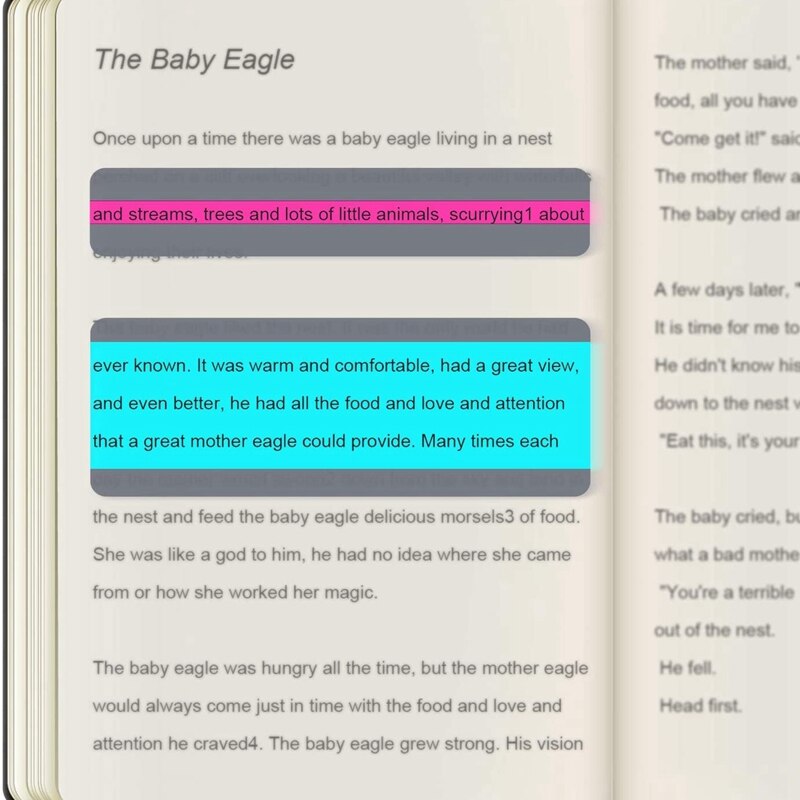 12 Pieces Guided Reading Highlight Strips with 2 S... – Grandado