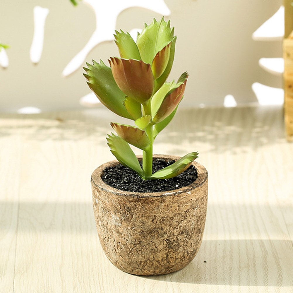 4Pcs/Set Simulation Succulent Plants Artificial Po... – Grandado