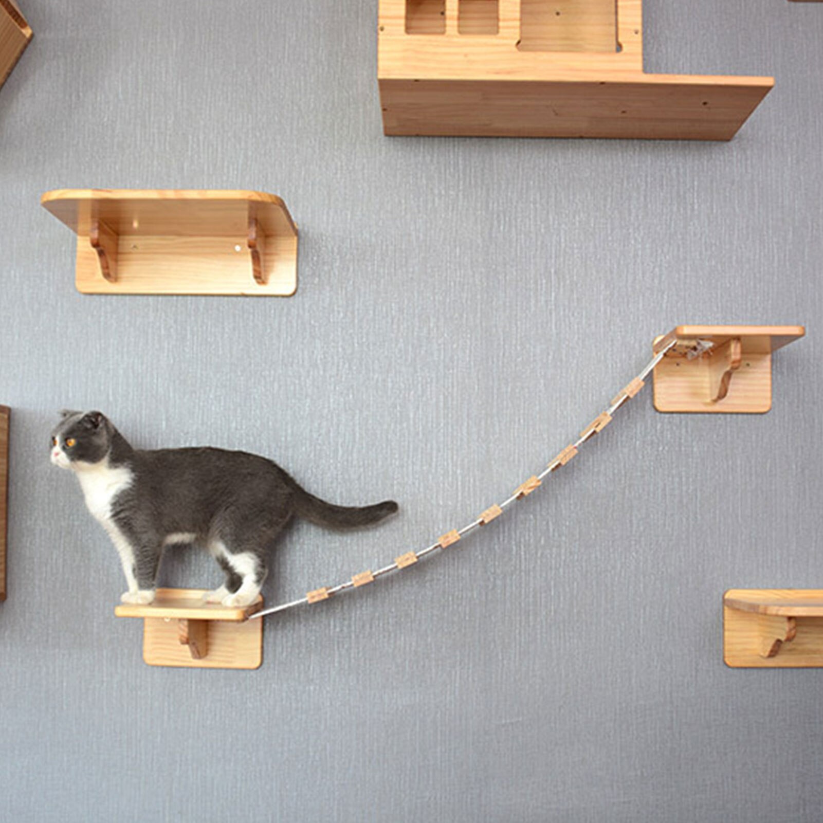 Wall Mounted Cat Climbing Platform Solid Wood Cat ... – Grandado