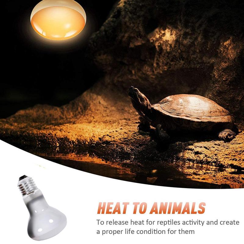 Reptiel Lamp Schildpad Koesteren Uv Gloeilampen Ve... – Grandado