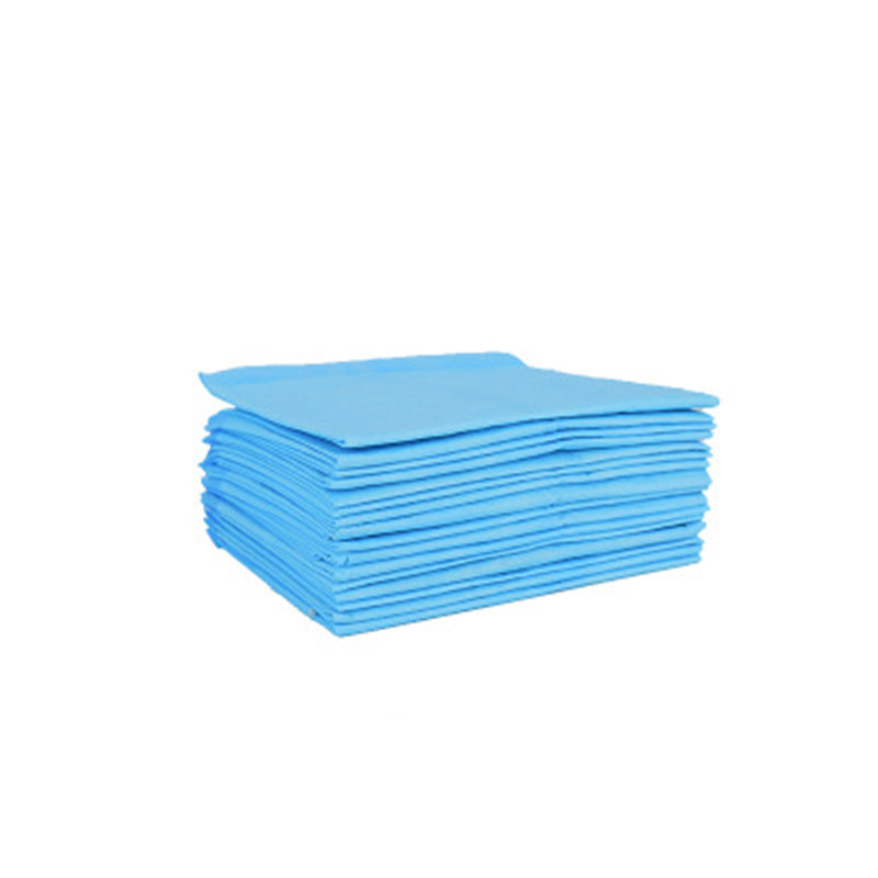 50/100pcs Dog Training Pee Pads Super Absorbent Pe... – Grandado