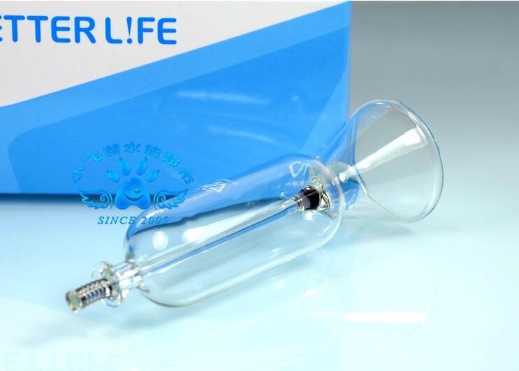 ADA VIV Stand Style Clear Glass Fish Feeder For Fo... – Grandado