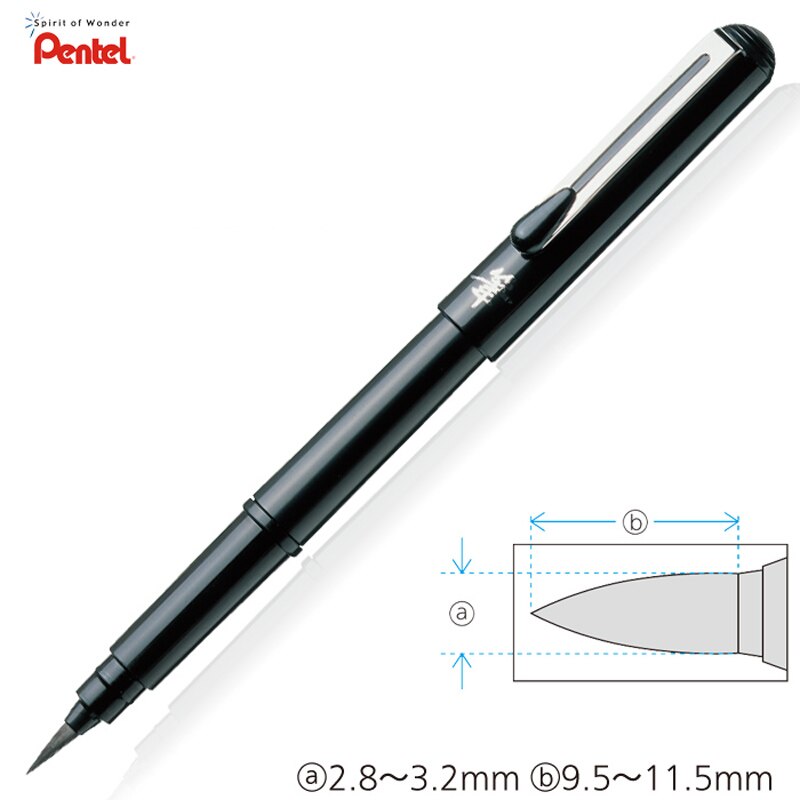 Pentel Arts Pocket Scientific Brush Pen,Fountain R... – Grandado