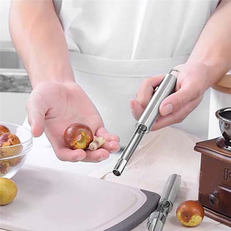 1 PC Rvs Kitchen Fruit Corer Separator Fruit Appel... – Vicedeal