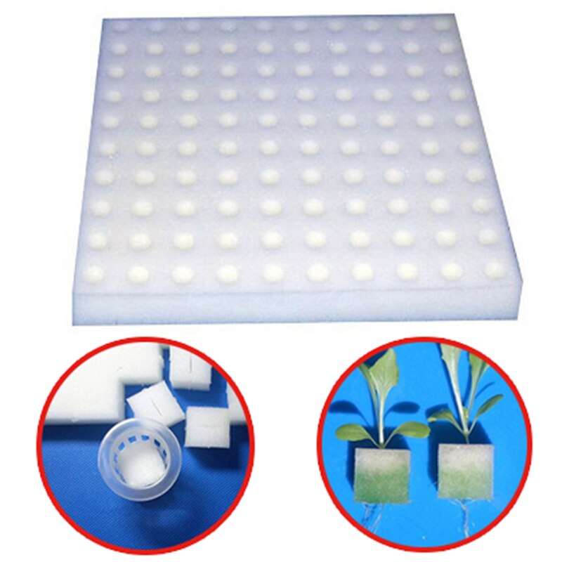 100pcs/sheet Garden Seedlings Cloning Collar Culti... – Grandado