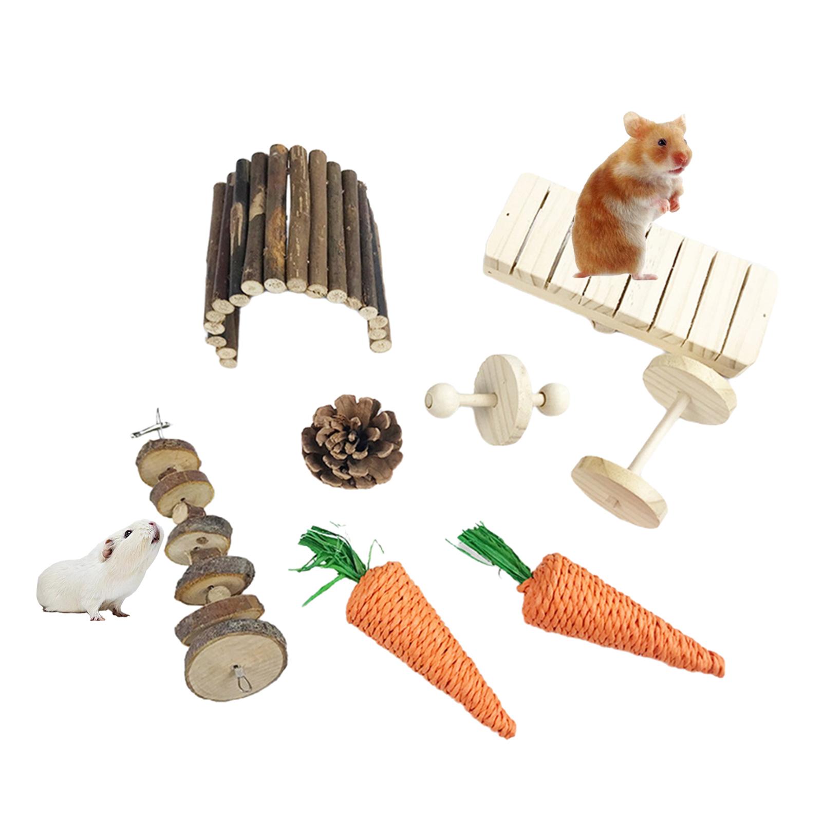 8Pcs Hamster Chew Toys Set Rats Dumbells Exercise ... – Grandado