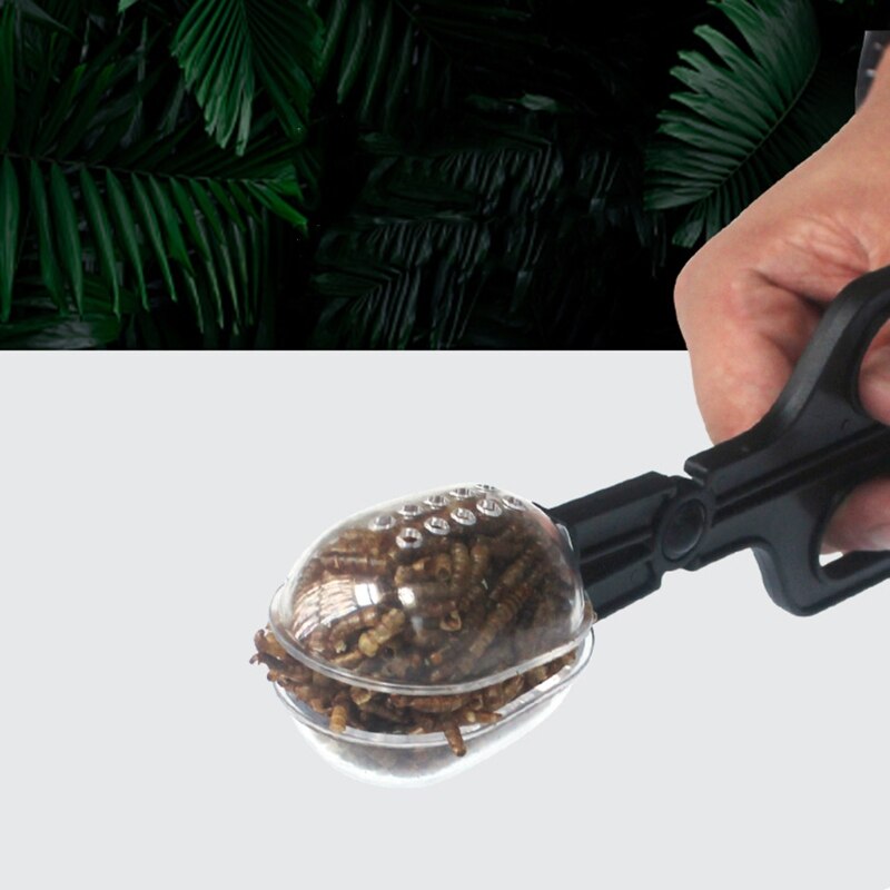 Reptielen Voeden Tang En Schoonmaken Tool Hagedis ... – Grandado