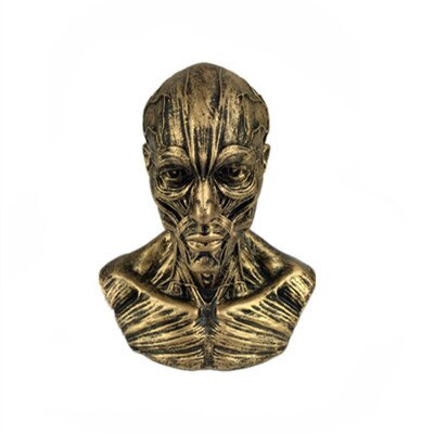 Human head muscle model carved ferrite still life ... – Grandado