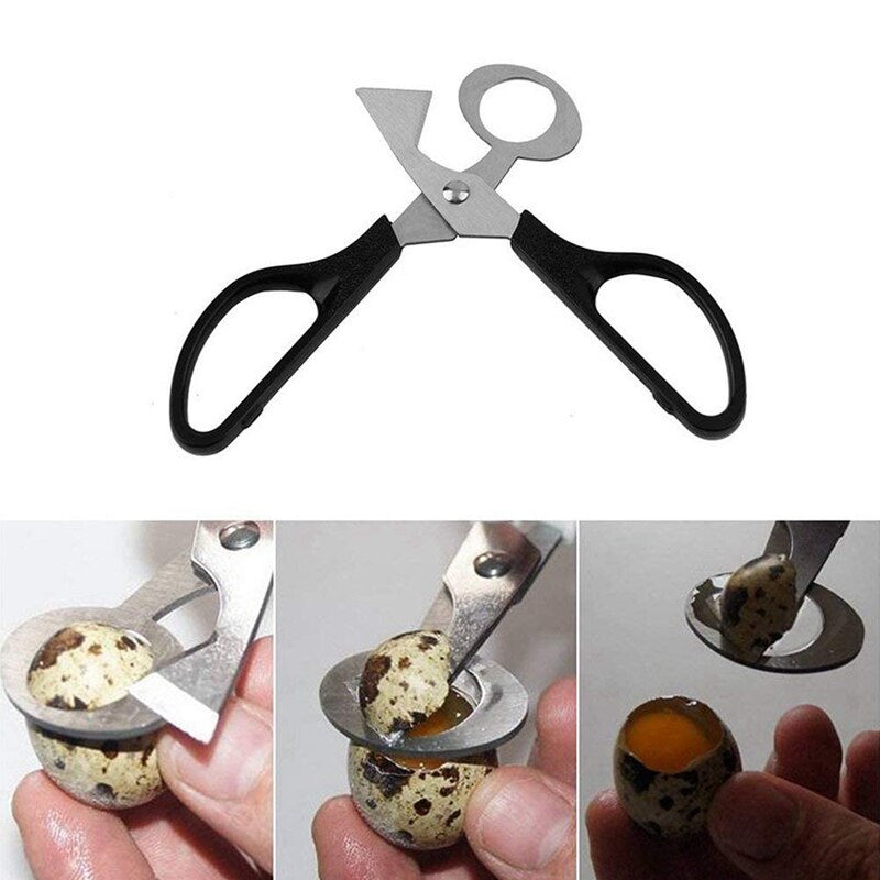 10PCS Quail Egg Scissors Quail Egg Shell Cutters S... – Grandado